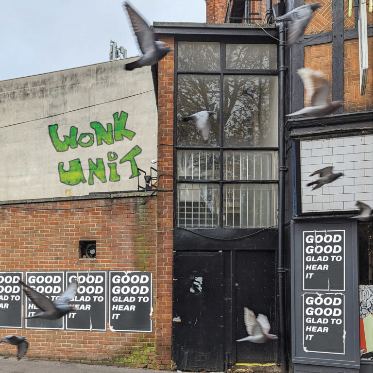 Wonk Unit - Good Good Glad To Hear It ::: Review (2024) - AWAY FROM LIFE